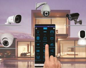 Home - Federal Security and Management Services